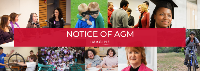 Annual General Meeting 2021 | Imagine Canada